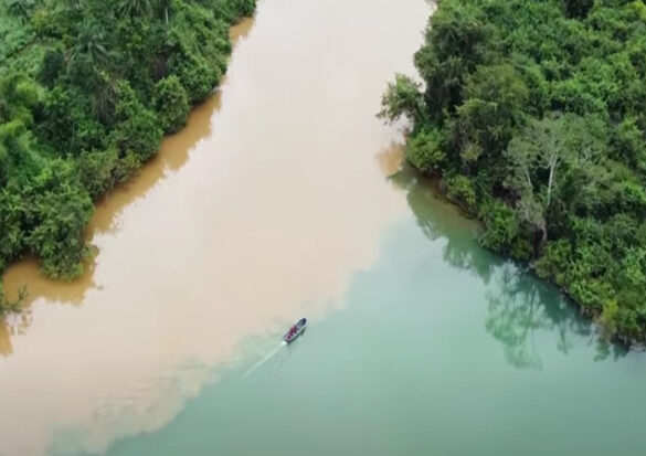 Five things to know about Oguta Lake, where two rivers meet without ...