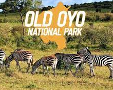 Hausa Traditional Attire - RefinedNG