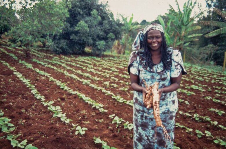 Wangari Maathai – The First African Woman to Win the Nobel Peace Prize ...