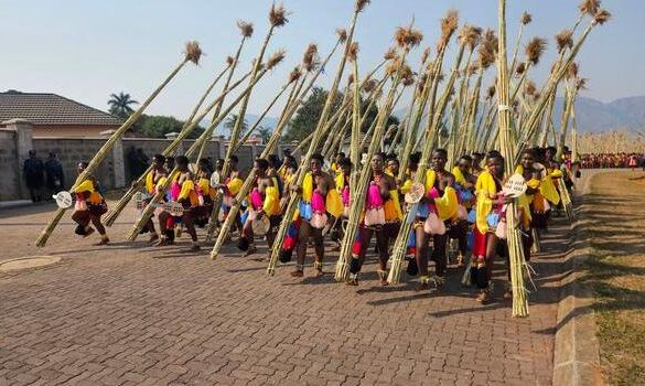 Mombasa Carnival: Kenya’s Vibrant Cultural Showcase - RefinedNG